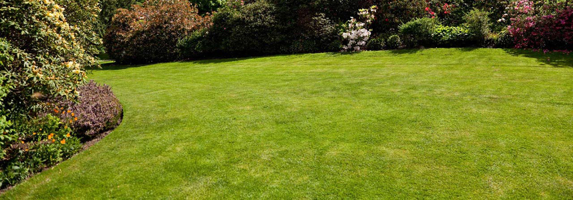 Shaping Calgary’s Landscape with Real Results